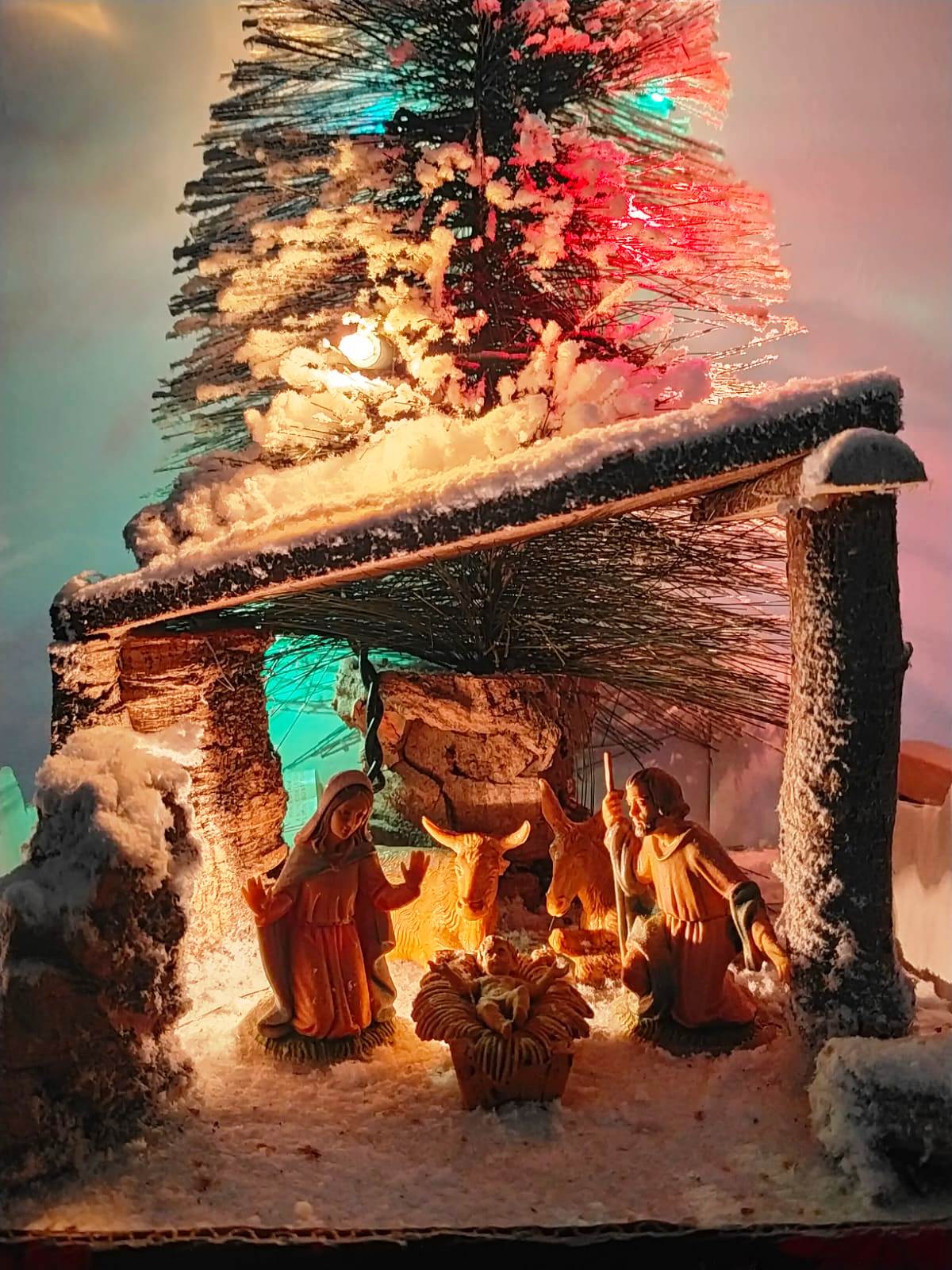Il presepe nella nostra casa - www.annagiorgi-ilregnodiaslan.it